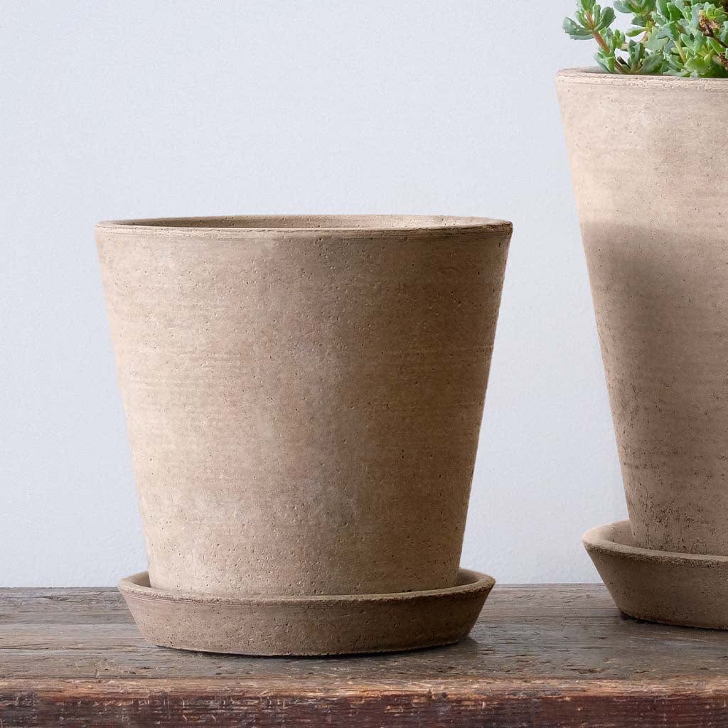 Essential Medium Planter | Lightweight Concrete Collection