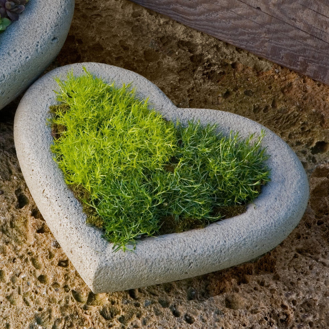 Heart Garden Planter