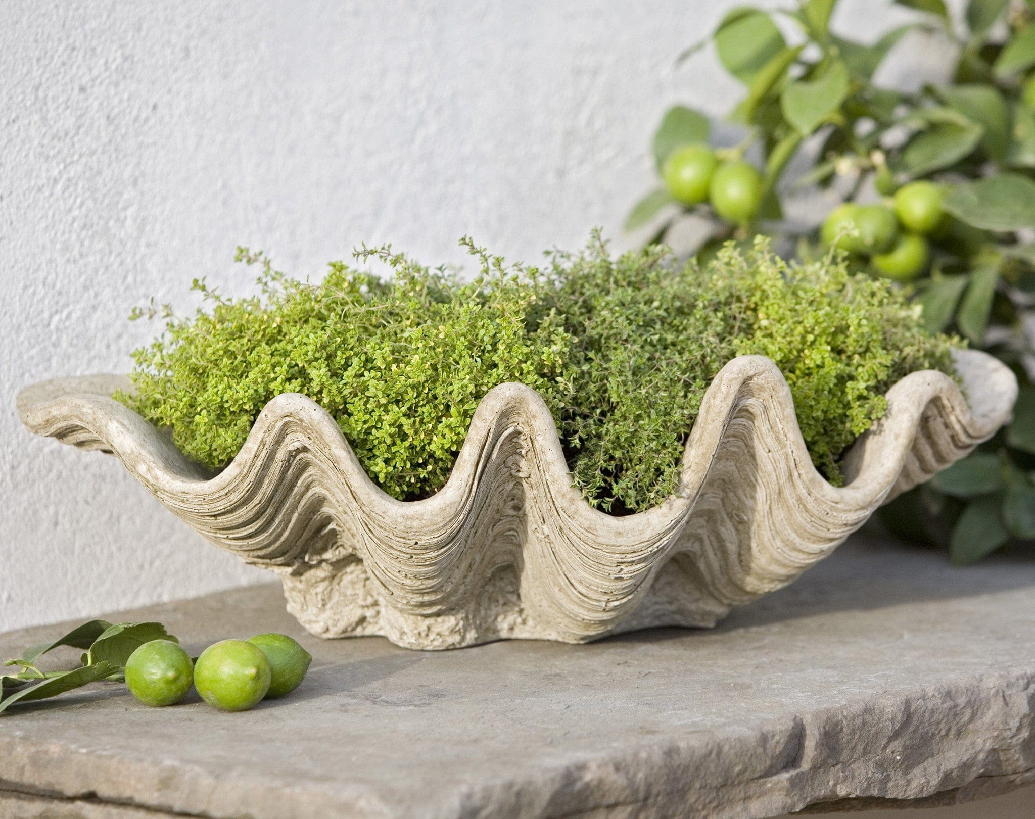 Outdoor Bowl Planters | Large Bowl Planters - Outdoor Art Pros